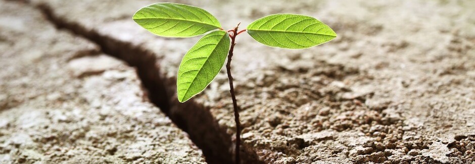 Aggregated Long Tail Views